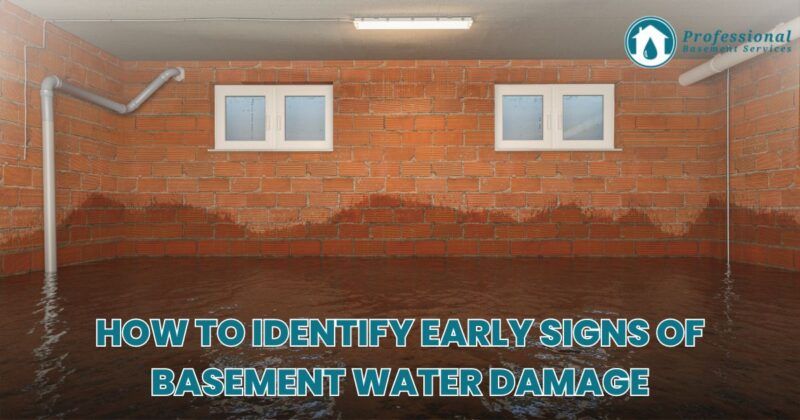 How To Identify Early Signs Of Basement Water Damage - Professional ...
